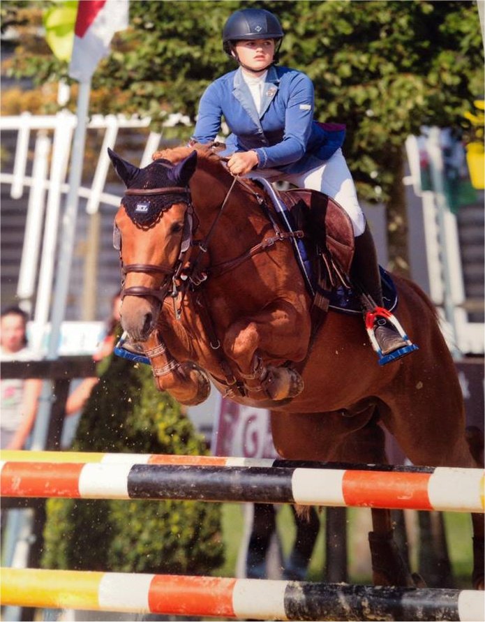 Prestatie Dekhengst – Nederlands New Forest Pony Stamboek