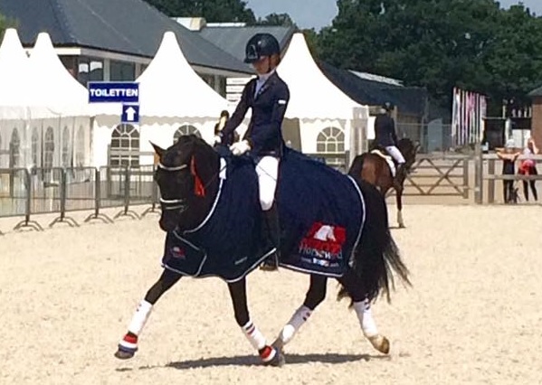 Uitslagen Divoza – Nederlands New Forest Pony Stamboek