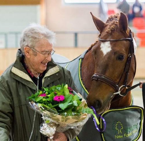 In memoriam Bram de Groote – Nederlands New Forest Pony Stamboek