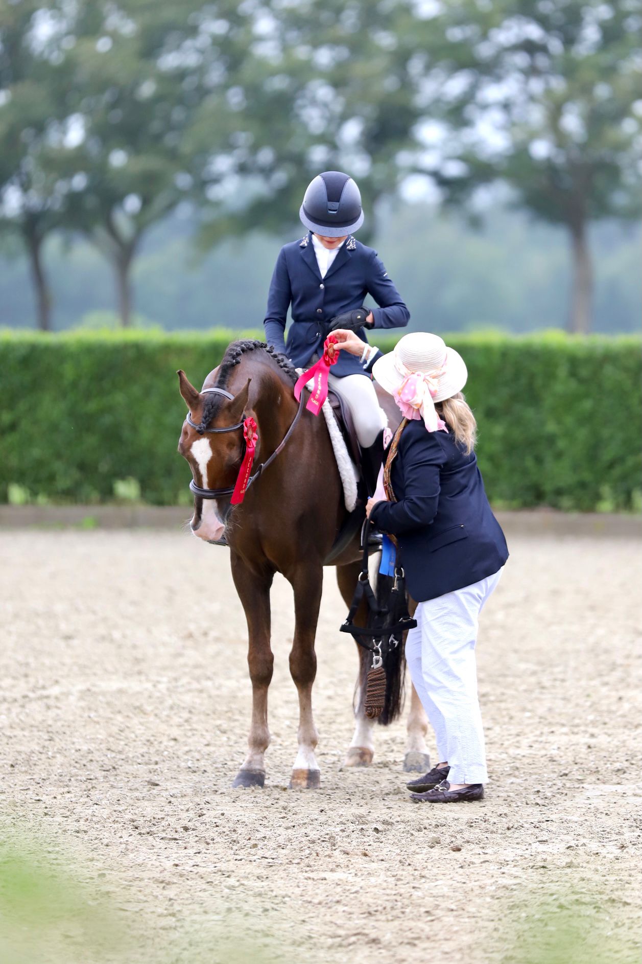 Hunter Event Ruinen – Nederlands New Forest Pony Stamboek